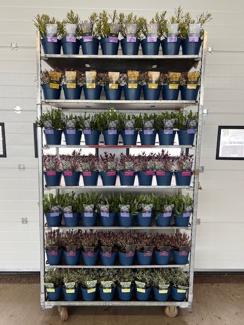 Craigmarloch nurseries. Home